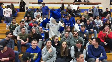 Walter the Wildcat GIFs on GIPHY - Be Animated