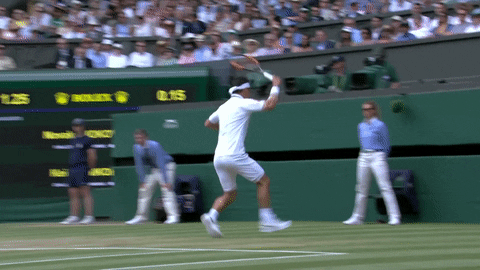 Awesome Tennis GIF by Wimbledon - Find & Share on GIPHY