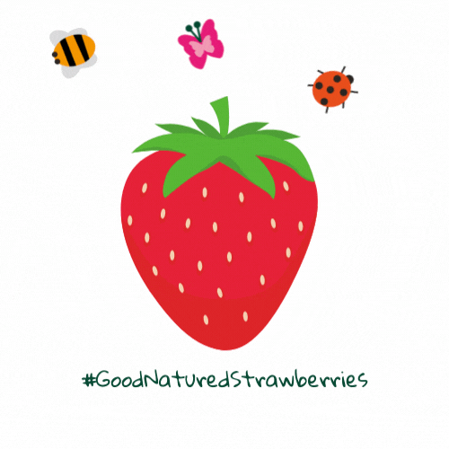 Good Natured Berries GIFs on GIPHY - Be Animated