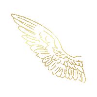 Flapping Angel Wings Gif