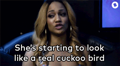 Cuckoo Bird GIFs - Get the best GIF on GIPHY