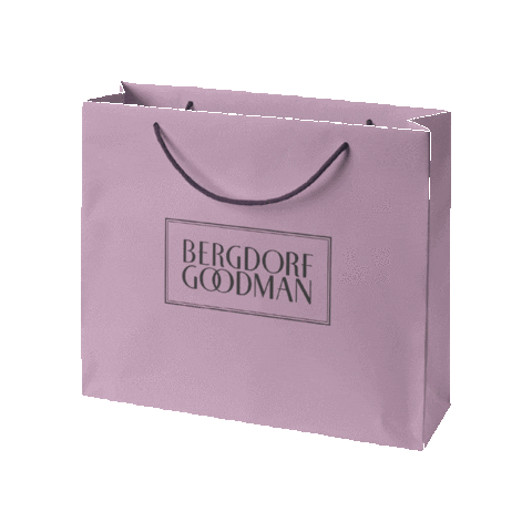 Bergdorf Goodman Shopping Bag