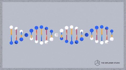 Double Helix Animation GIF by The Explainer Studio - Find & Share on GIPHY