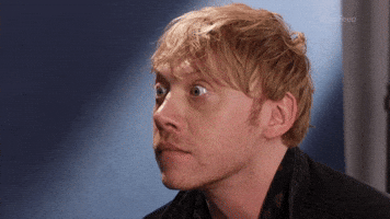 Stare Meme Clips - Find & Share on GIPHY