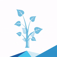 Pangaea Animation Gif