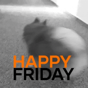 Happy Friday Dog Gif
