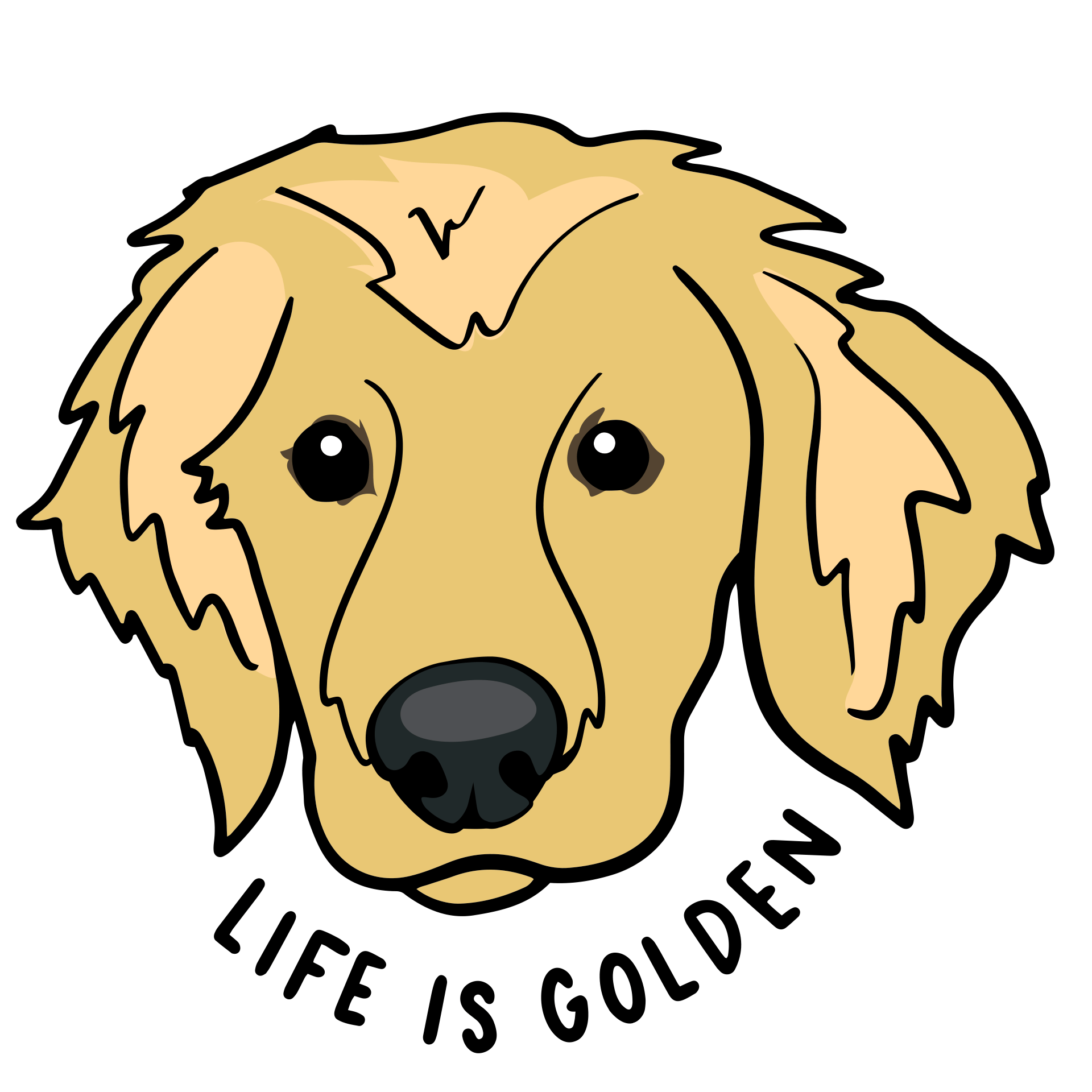 Life Lab Sticker for iOS & Android | GIPHY