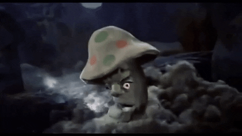 Magic Mushroom GIFs - Find & Share on GIPHY