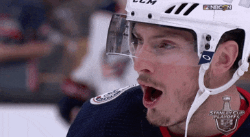The Best GIFs from the NHL Stanley Cup Playoffs Round 2! by Sports GIFs ...