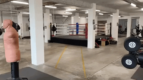 Gym GIF by Marseille Boxing Club - Find & Share on GIPHY