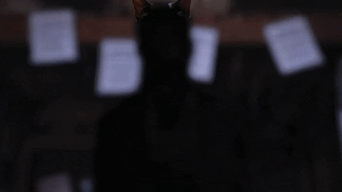 Dead Meat James Cats GIFs - Get the best GIF on GIPHY