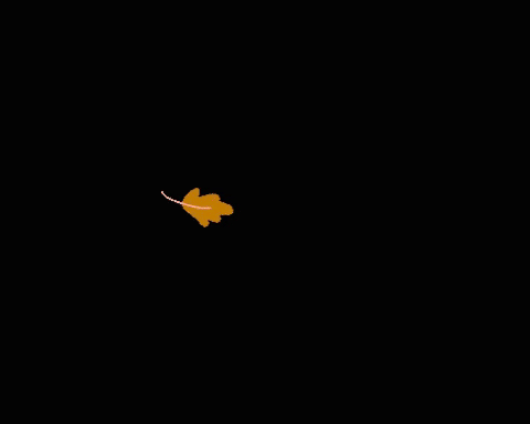 Kta-stores GIFs - Get the best GIF on GIPHY