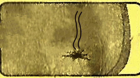 Patch Up GIFs - Get the best GIF on GIPHY