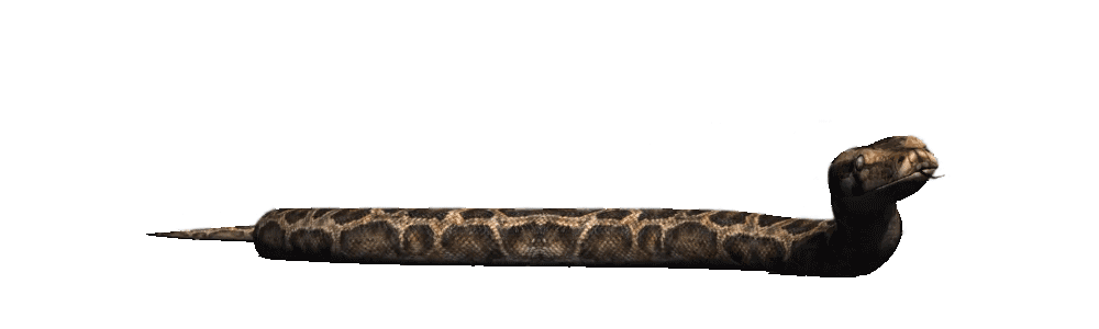 Snake Vape Sticker by RuthlessVapor for iOS & Android | GIPHY