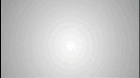 Visiting Notary GIFs - Get the best GIF on GIPHY