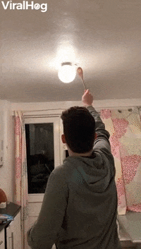 Hanging From Ceiling Fan Gif | Shelly Lighting