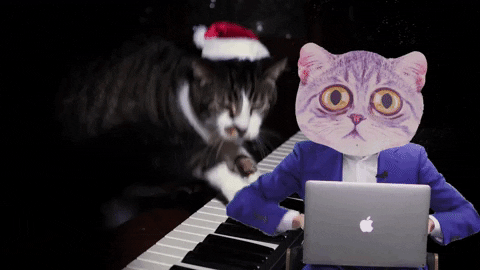 Animals Playing Instruments Gif
