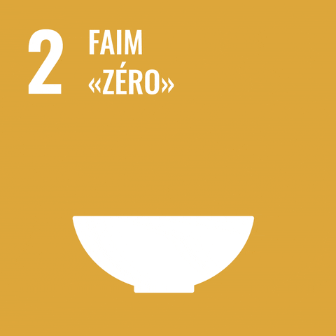 Sdg2 GIFs - Get the best GIF on GIPHY