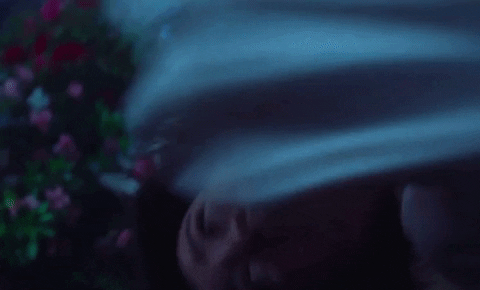 Stay Soft GIF by Mitski - Find & Share on GIPHY