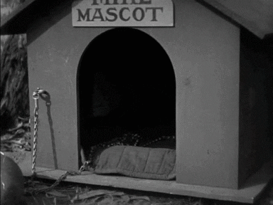 Harold-lloyd-s GIFs - Get the best GIF on GIPHY