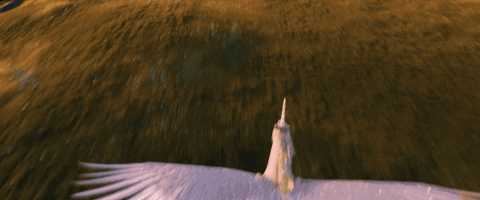 Pixar Onward GIFs - Get the best GIF on GIPHY