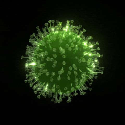 Project Loop GIFs - Get the best GIF on GIPHY