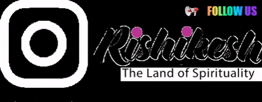 Local Guide GIFs - Get the best GIF on GIPHY