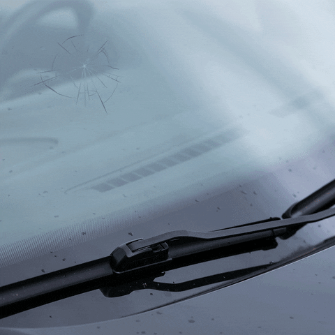 Carglass GIF by Carglass® España - Find & Share on GIPHY
