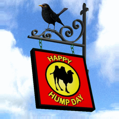 Camel Happy Wednesday GIF - Find & Share on GIPHY