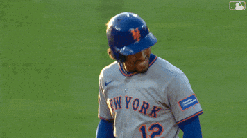 New York Mets GIFs on GIPHY - Be Animated