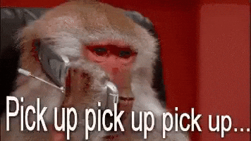 Pick-up-mooring-ball GIFs - Get the best GIF on GIPHY