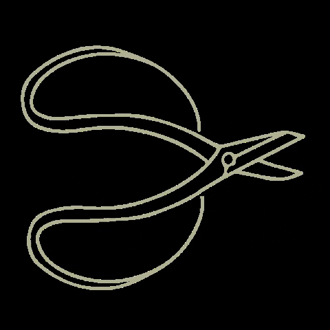 Sewing Scissors GIFs - Find & Share on GIPHY