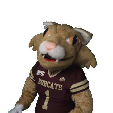 Boko the Bobcat GIFs on GIPHY - Be Animated