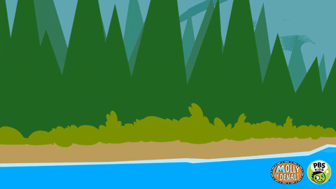 Catching A Fish GIFs - Get the best GIF on GIPHY