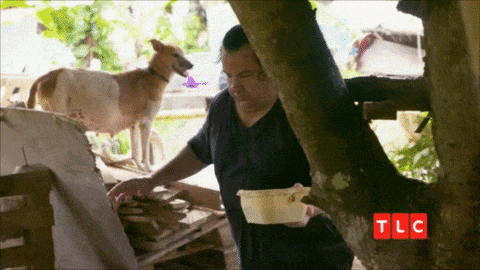 Fallout Equestria GIFs - Get the best GIF on GIPHY