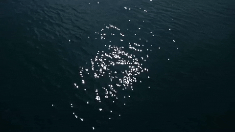 Maritimo GIFs - Get the best GIF on GIPHY