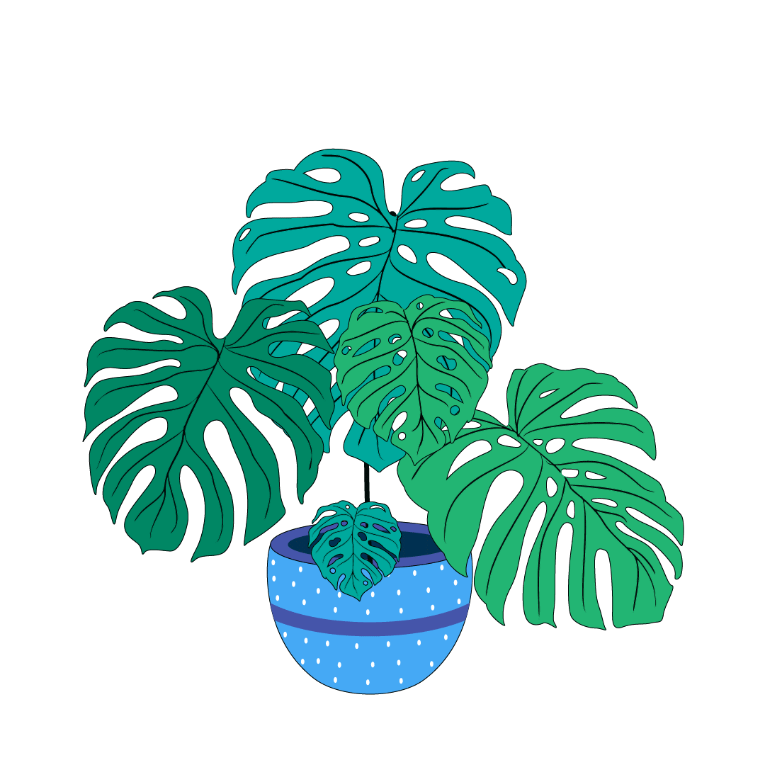 Flowers Plants Sticker by Homebook for iOS & Android | GIPHY