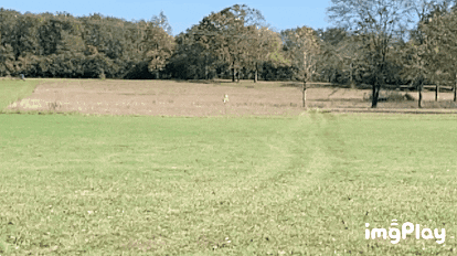 FirstAndMonday GIFs on GIPHY - Be Animated