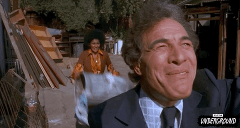 Pam Grier 70S GIF by Turner Classic Movies - Find & Share on GIPHY