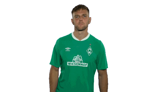 Football Bundesliga Sticker by SV Werder Bremen for iOS & Android | GIPHY
