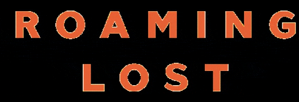 Roaming Lost GIF - Find & Share on GIPHY