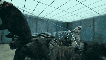 SLANG GIFs on GIPHY - Be Animated