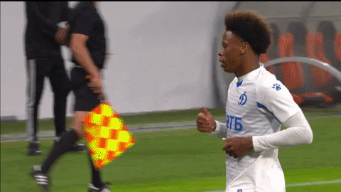 FC Dynamo Moscow GIF - Find & Share on GIPHY