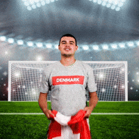 Goal-denmark GIFs - Get the best GIF on GIPHY