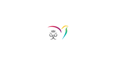 Duke of Ed GIFs on GIPHY - Be Animated