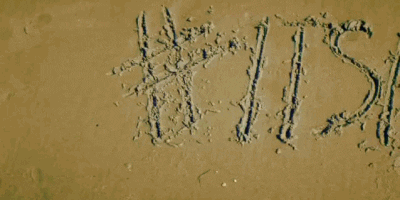 Cher Bear GIFs - Get the best GIF on GIPHY