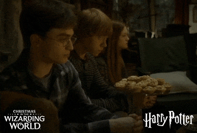 Merry Christmas GIF by Harry Potter - Find & Share on GIPHY