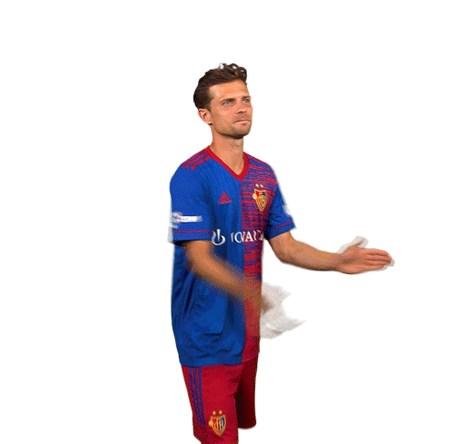 FC Basel 1893 GIFs on GIPHY - Be Animated