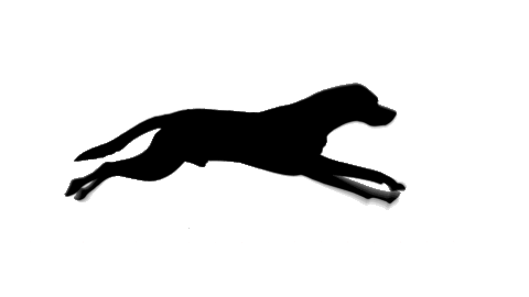 Animated Running Dog Gifs