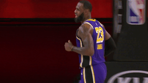Lebron James Applause GIF by NBA - Find & Share on GIPHY